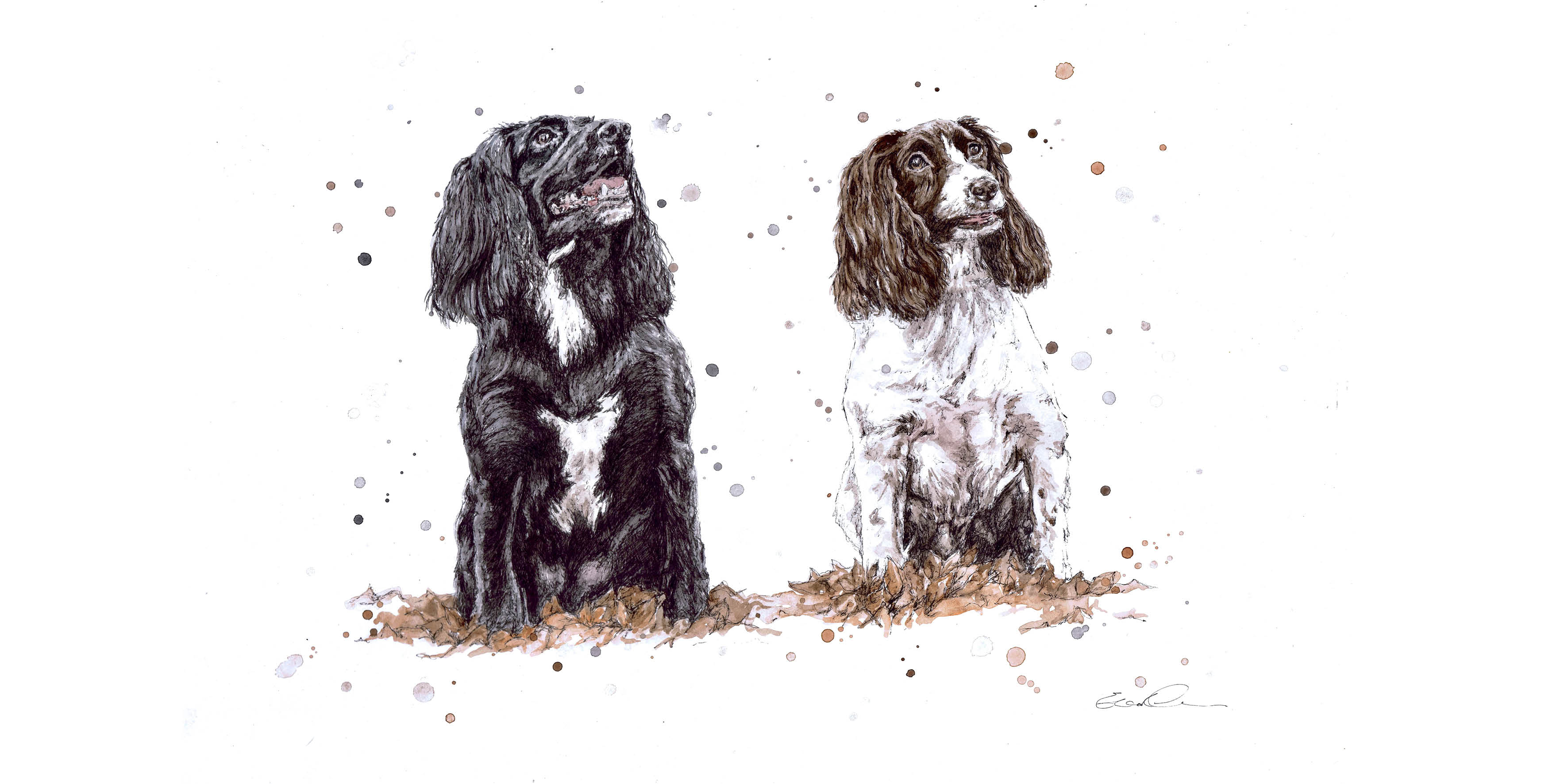 Eleanor Tomlinson | Artist & Illustrator | East Yorkshire