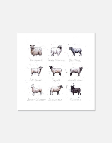 Baa | Signed Limited Edition Print | eleanortomlinsonart