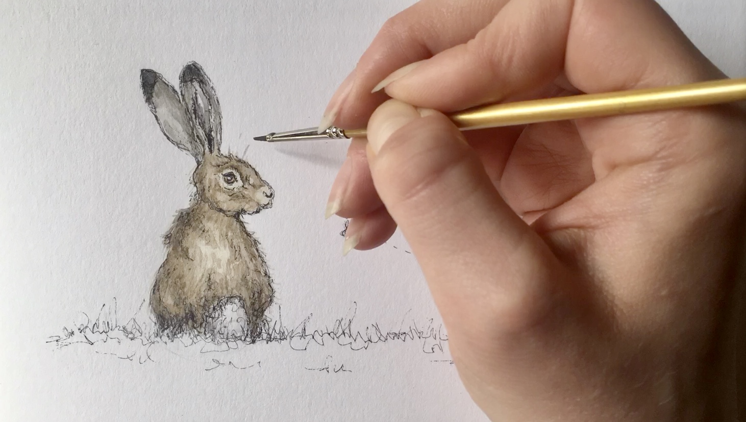 Eleanor Tomlinson | Artist & Illustrator | East Yorkshire