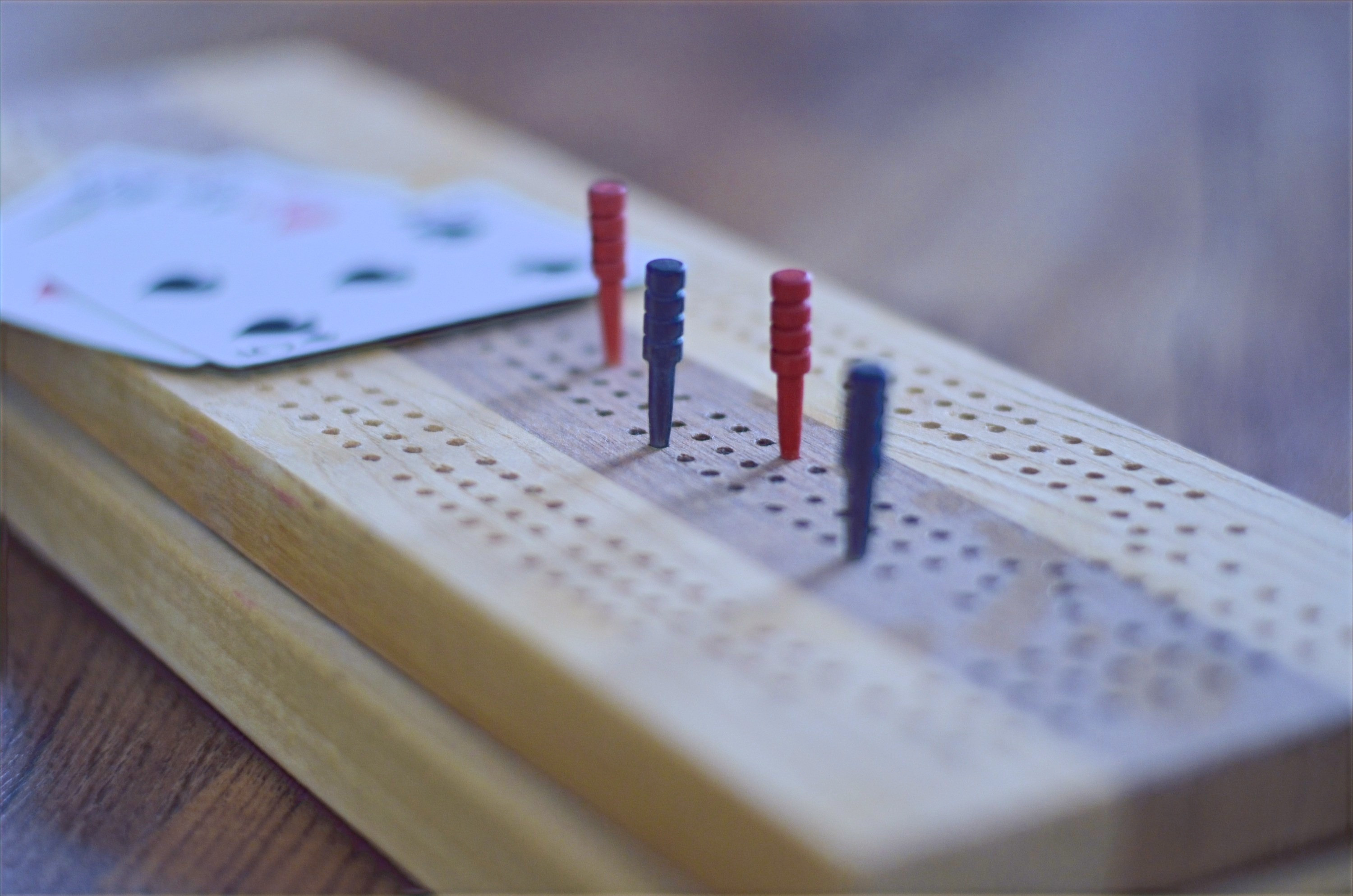 Cribbage Tournament 2024 | SC Rugby Boosters