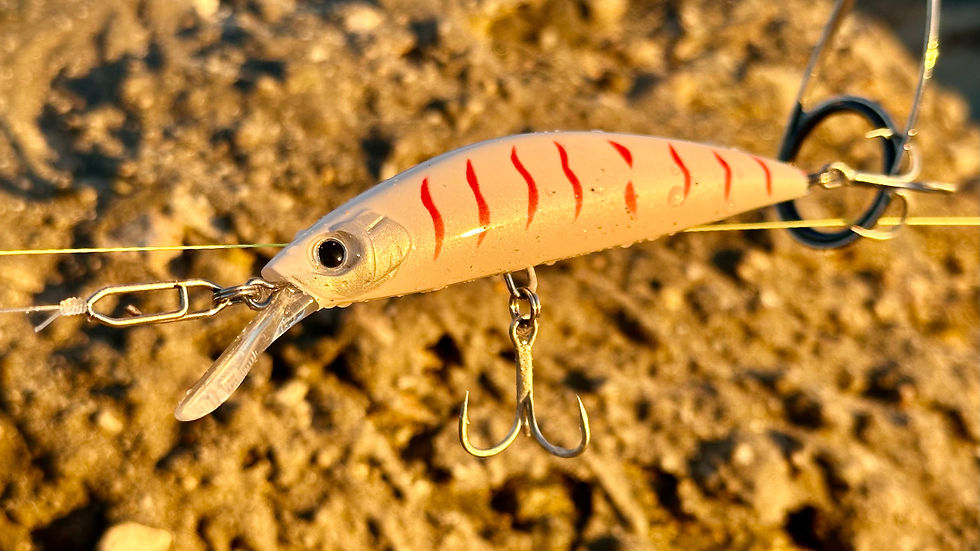 Best Setups, Rigs for Surf Perch Fishing in California, Oregon