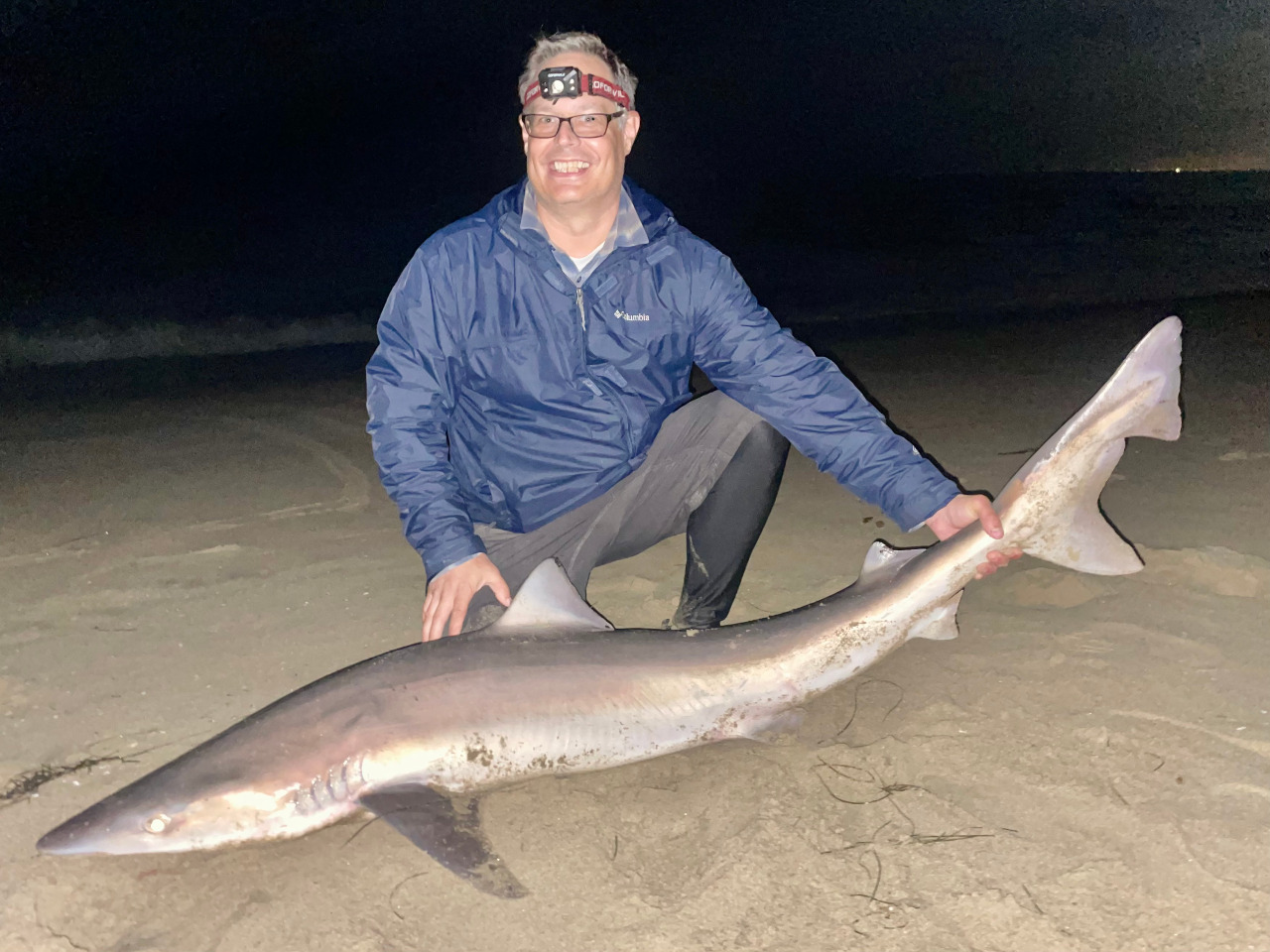Rigs, Baits & Spots for Soupfin Shark Fishing California
