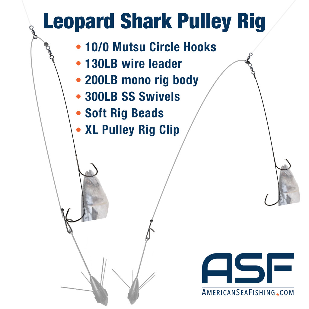 Leopard Shark Pulley Rig | 10/0 Mutsu Circle Hooks, Wire Leader