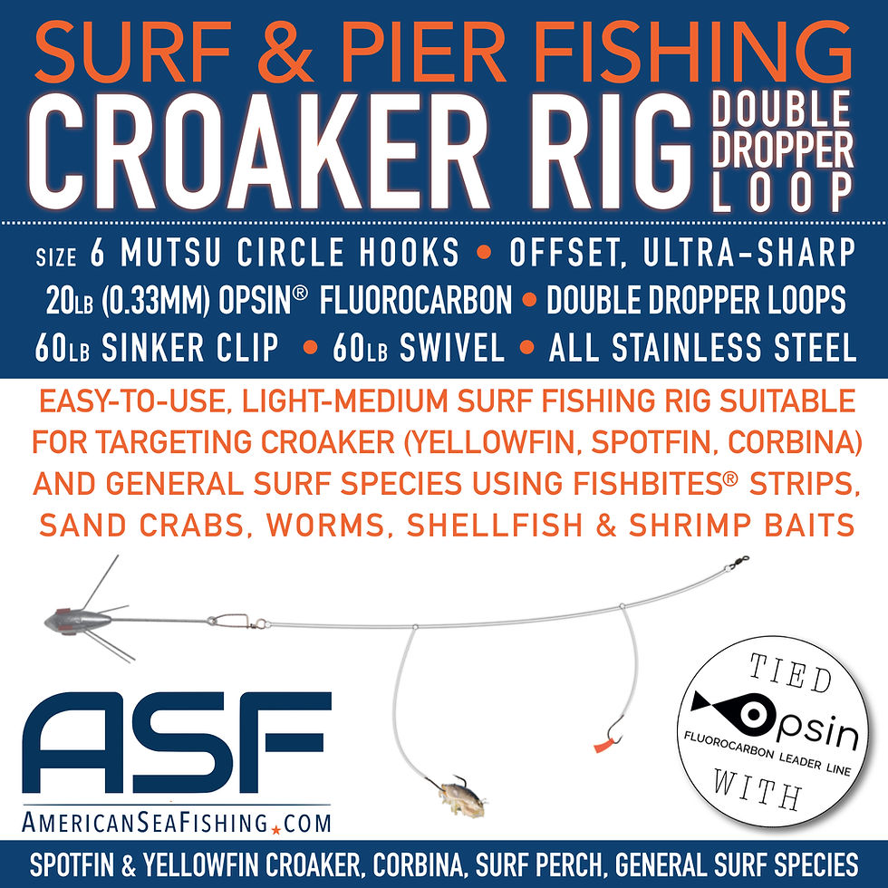 Buy Surf Fishing Rigs, Sinkers, Baits | American Sea Fishing