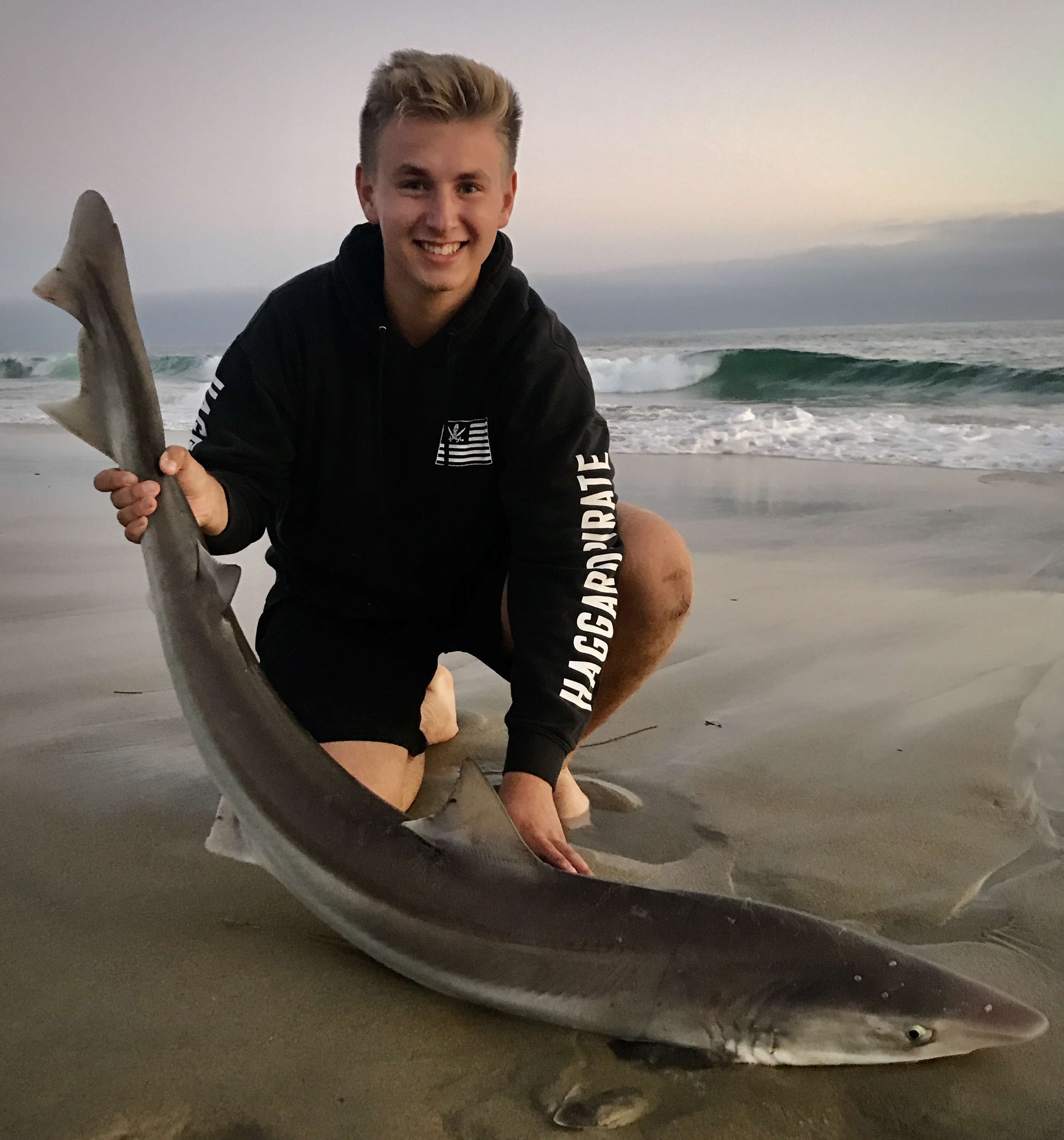 Rigs, Baits & Spots for Soupfin Shark Fishing California