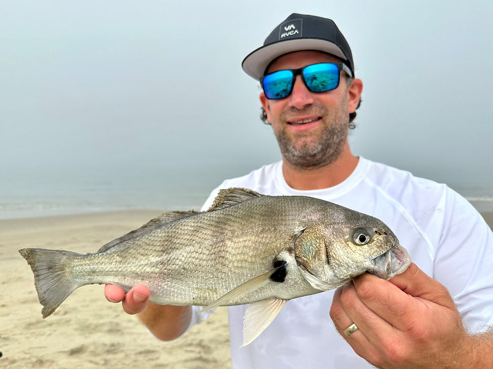 California Surf Fishing Slam's Corbina highlight plus Spotfin