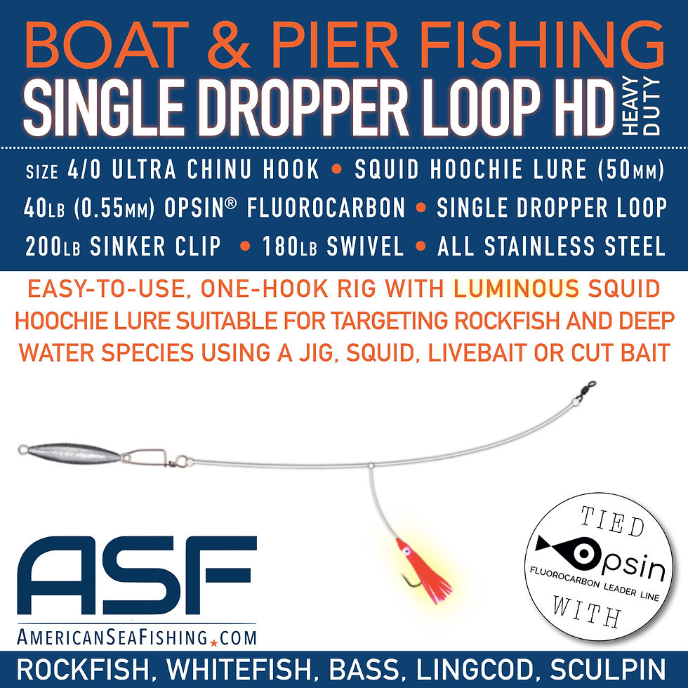Boat and Kayak Fishing Rigs, Setups, Sinkers, Tackle | American Sea Fishing