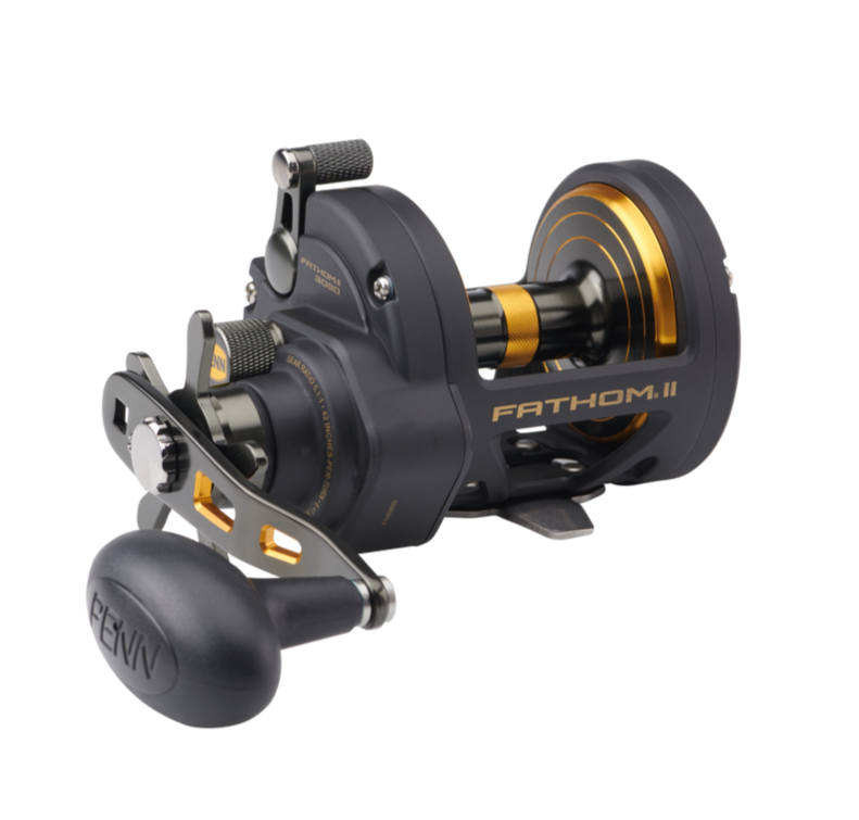 Rigs, Baits & Spots for Soupfin Shark Fishing California