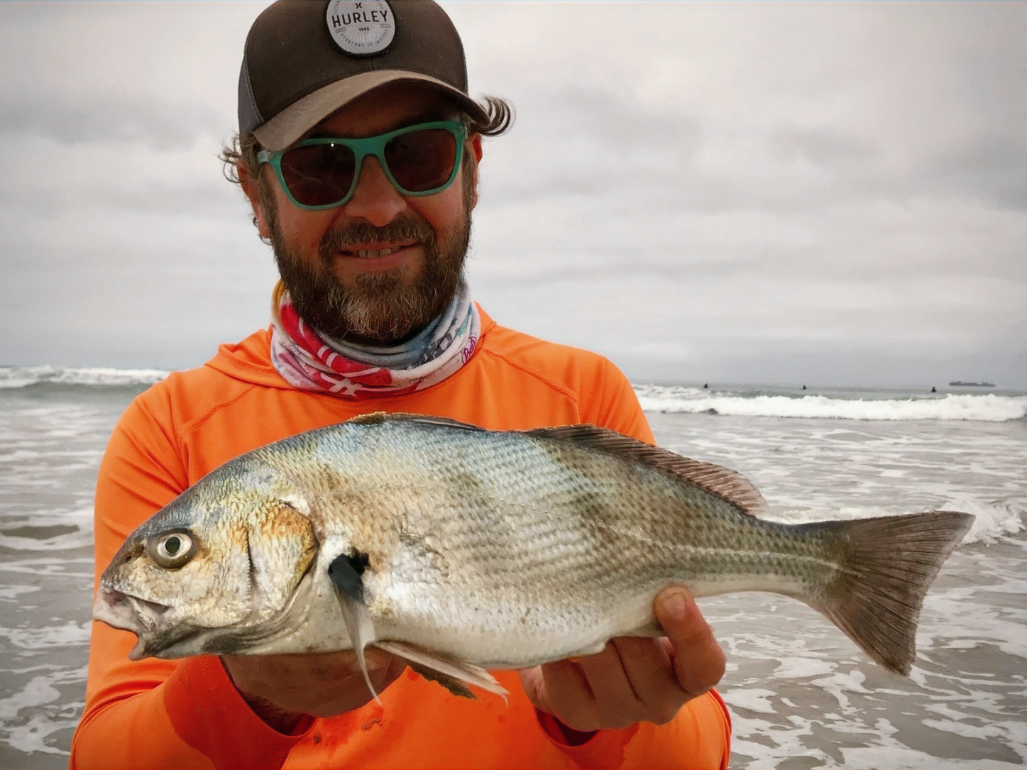 Spotfin Croaker Fishing Guide's Tips, Baits, Rigs and Setups