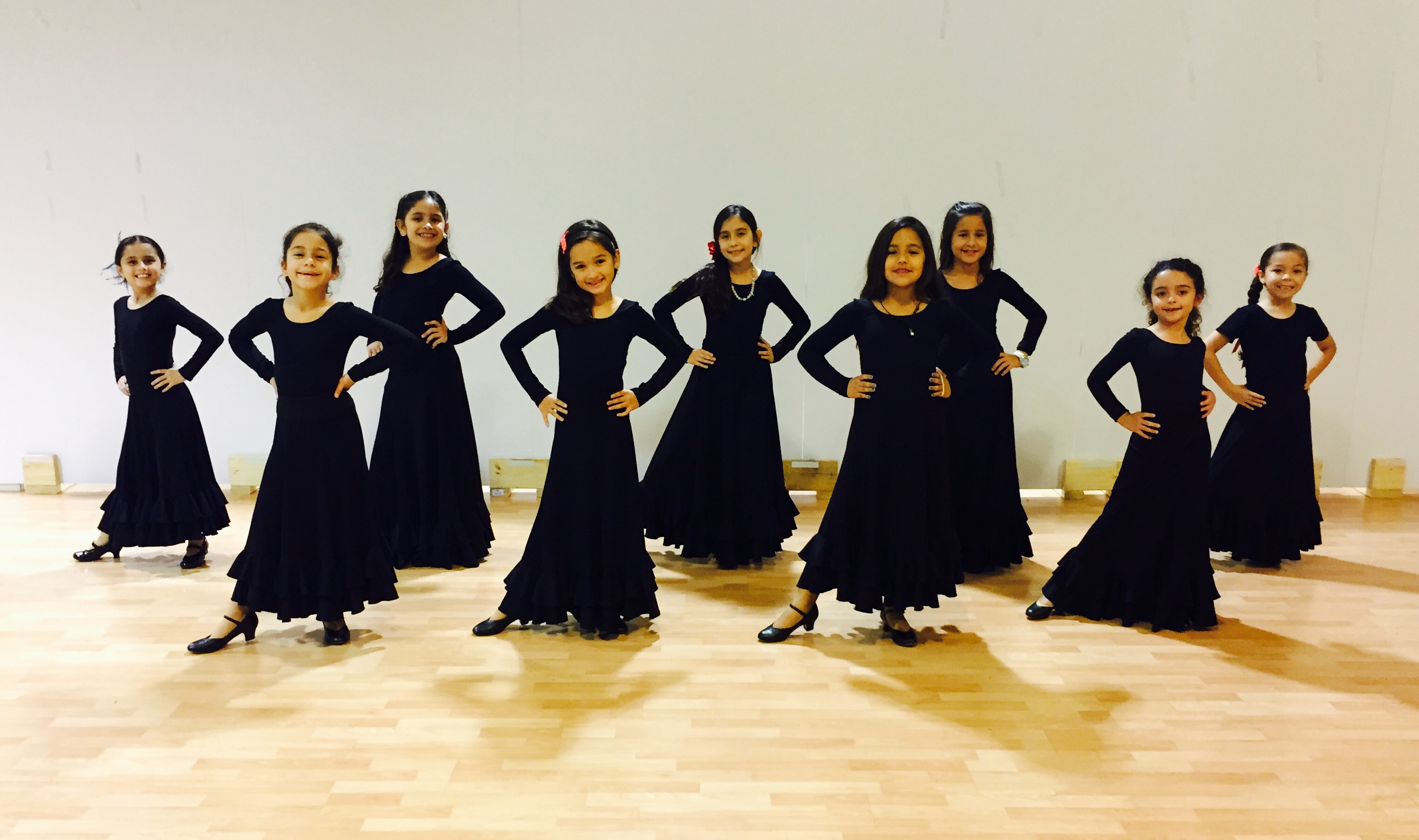 FLAMENCO PROGRAM | ecokids