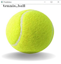 How to use Inception Model for Image recognition