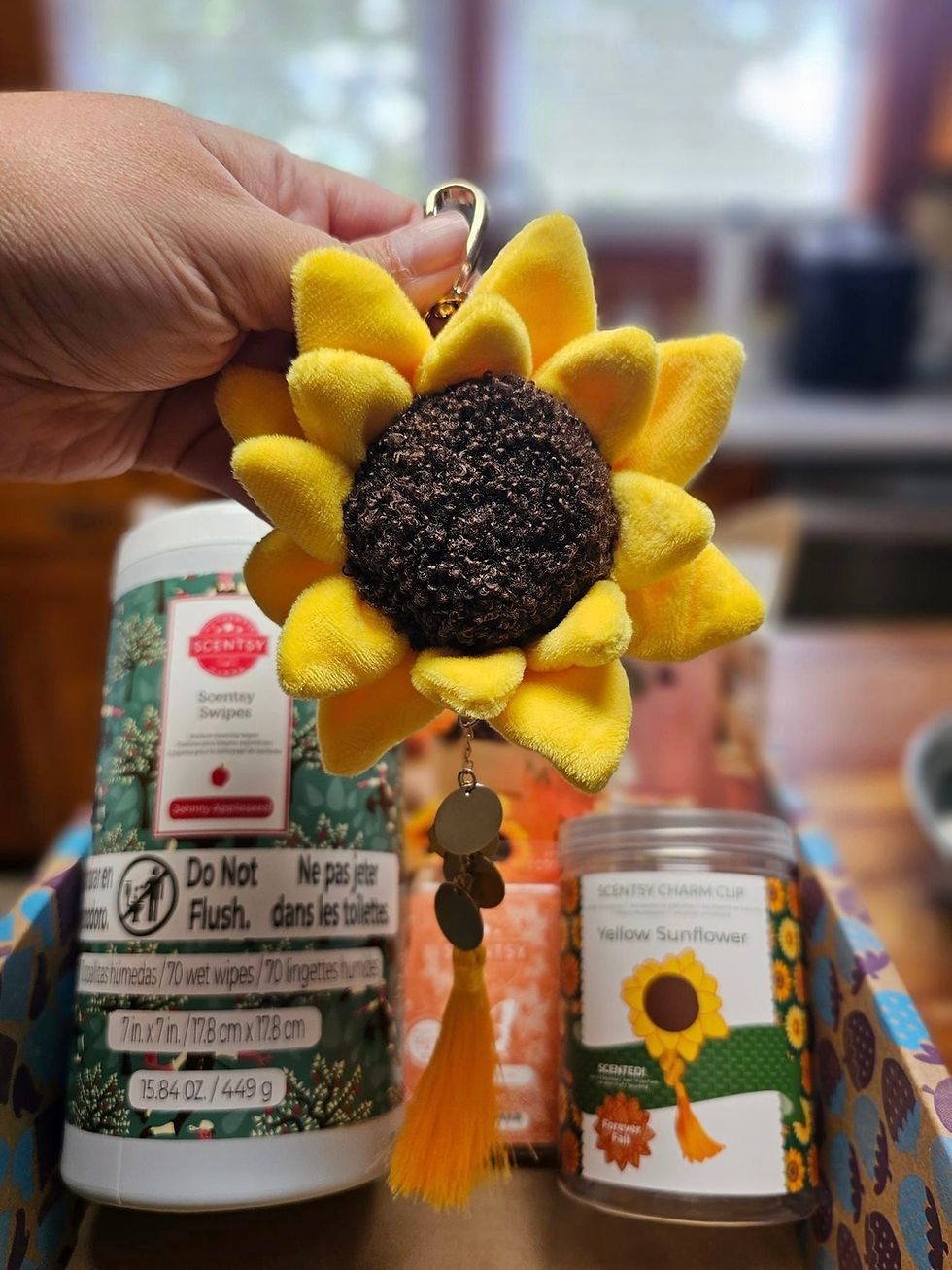 Scentsy September 2024 Whiff Box-Fall Sneak Peek