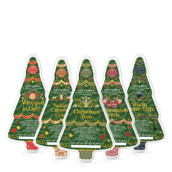 2024 Holiday Bricks 5 Brick Bundle