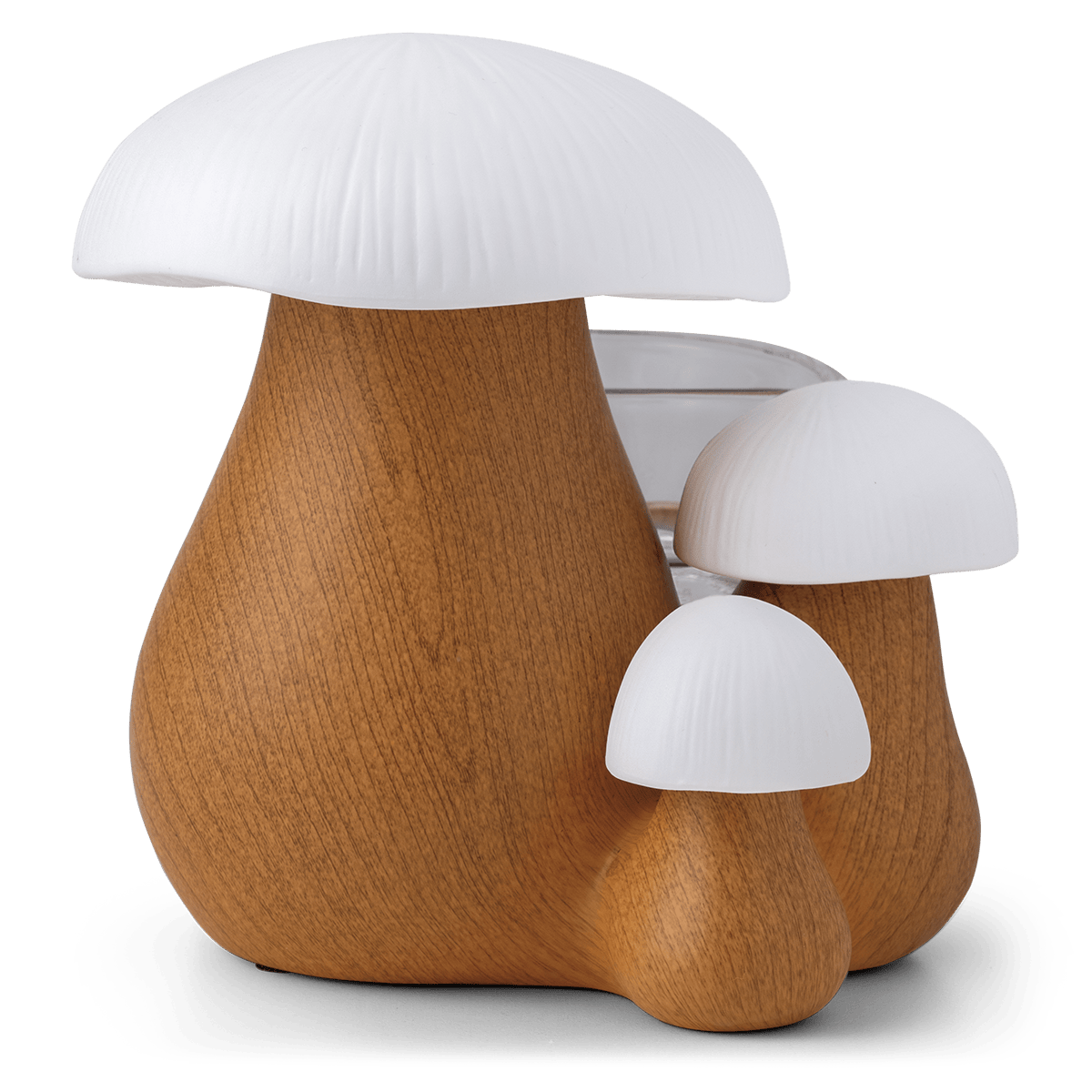 Forest Forage Warmer