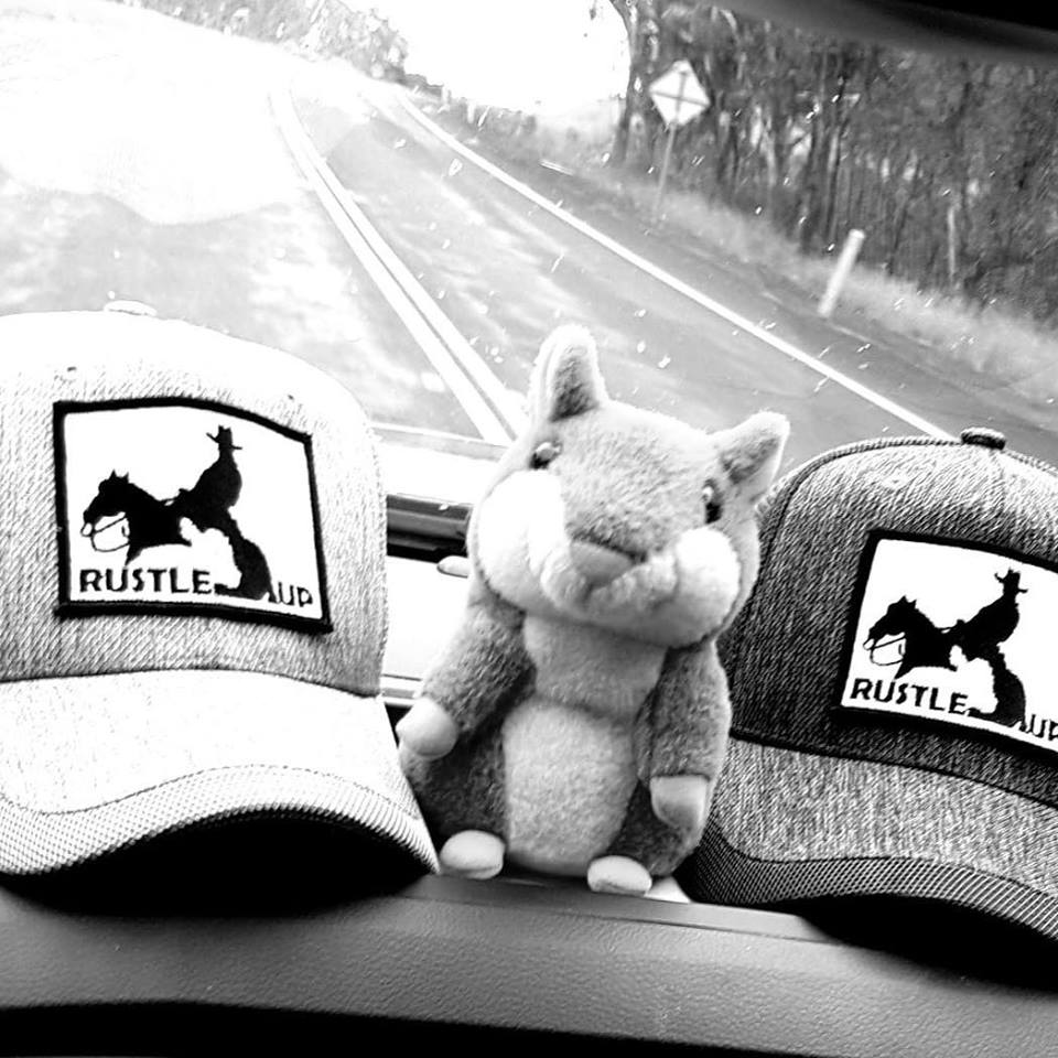 GALLERY | Rustle Up Equine