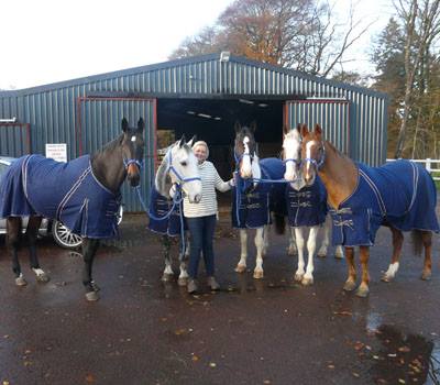 Horse Riding | Turlood Equestrian | Lesmahagow