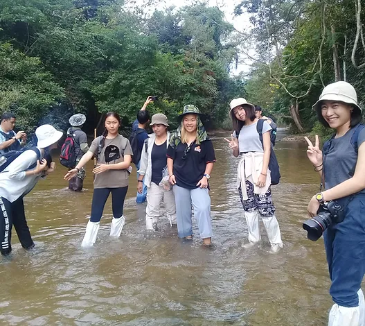 Home | Swuic Ecotourism