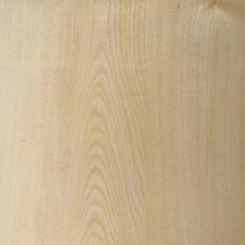 EUROPEAN MAPLE | Intarbor