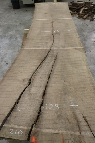 ROVERE CON PIUMA | Intarbor