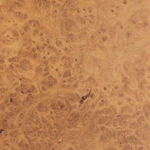 RADICA ROVERE | Intarbor