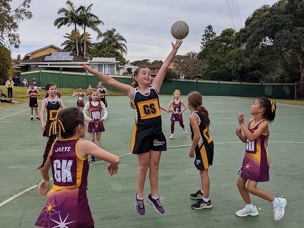 Home | Menai Hawks #4659