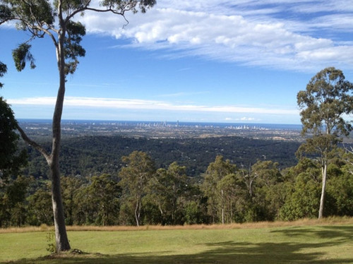 Tallai | Moving to the Gold Coast