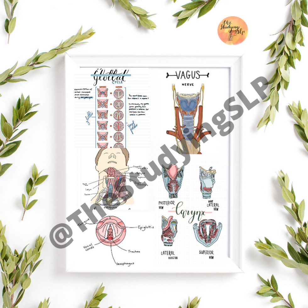 Shop | The Studying SLP