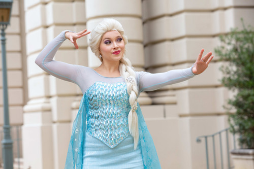 Elsa Character Guide | My Site