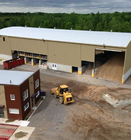 Carbon Credits | Forevergreen