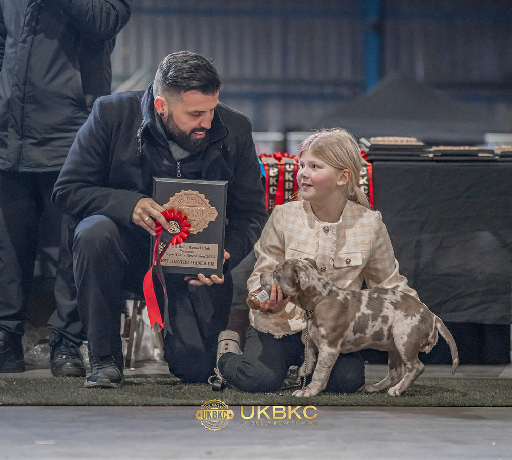 5 Best tips for a junior handlers? | UKBKC