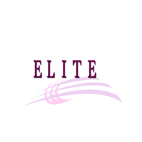 Elite Re-Usable Luggage Label | Elite Services Ltd