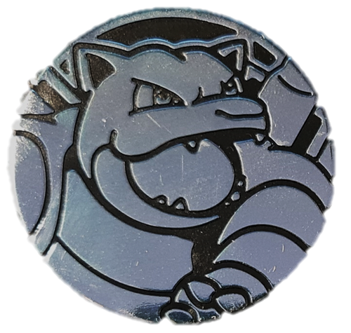 Moneda Blastoise 5cms | PokeCardsGT