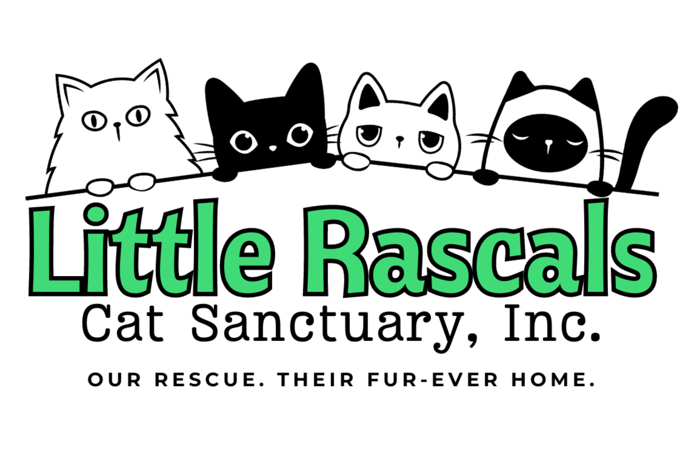 Cat Rescue Story: The cat who needed to learn how to cat!