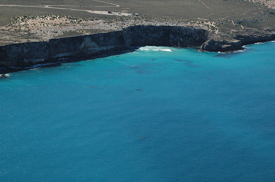 Steph Frick puts a creative spin on the GABRWS and life on the ...