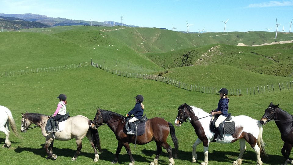 Ohariu Valley Equestrian Centre