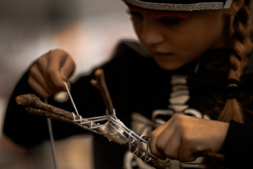 ARTIST SPOT - October 2023 Last Friday | Hillsborough Arts