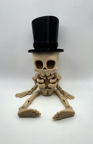 Articulated Skeleton | Black Rook Creations