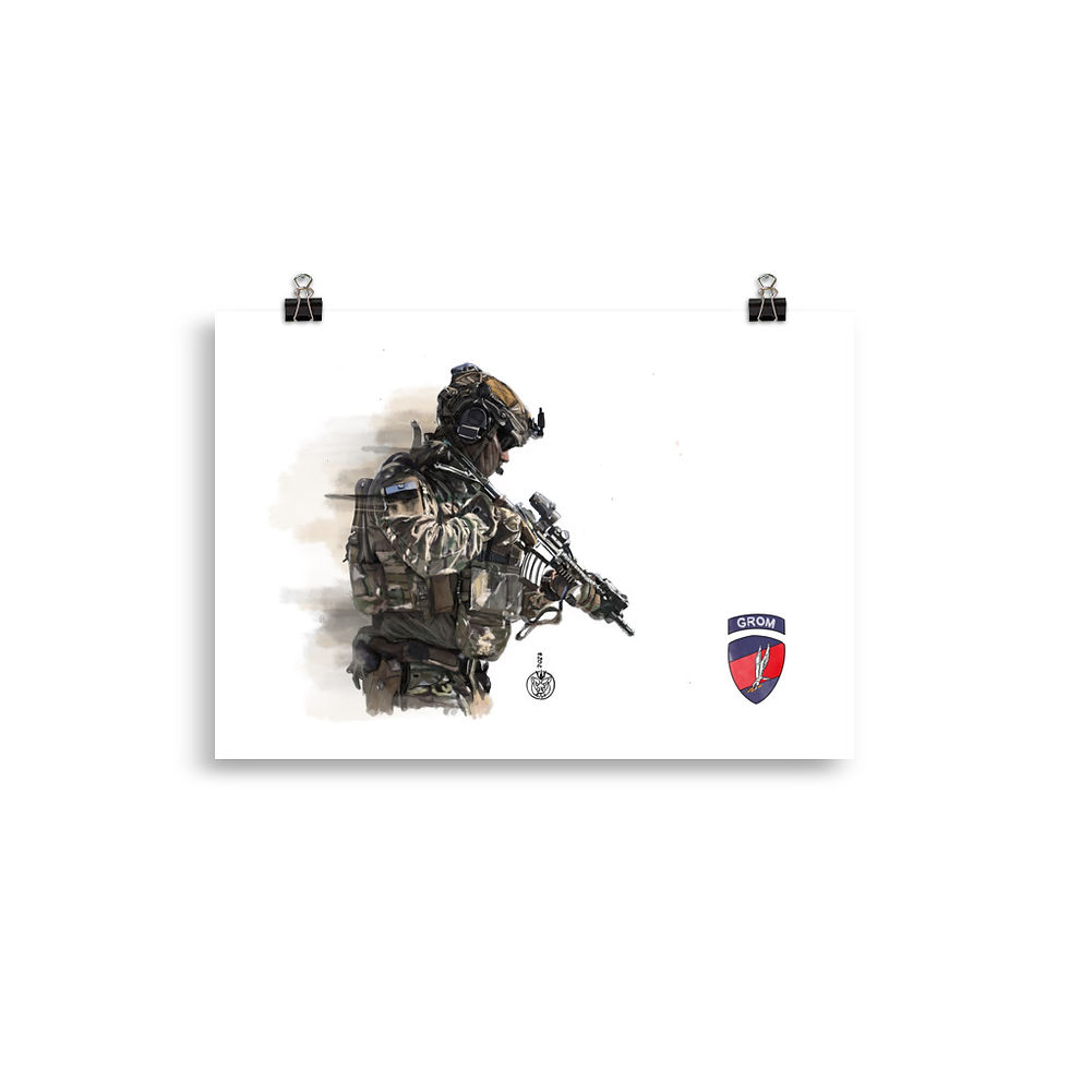 00224 - JW Grom, Poland | Army Warhog