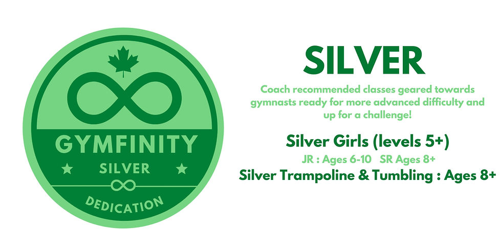 Recreational Classes | Gymfinity Gymnastics Centre