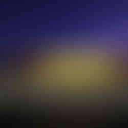 Shera Board | CLAD Solutions