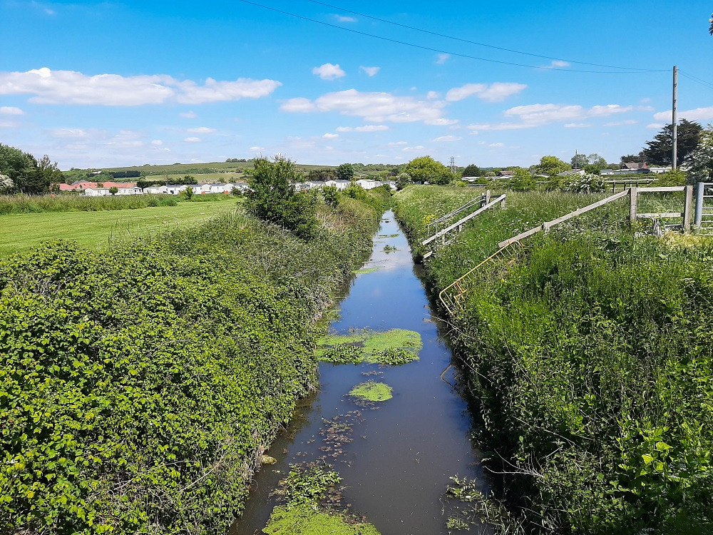 Ferring Rife | Angmering Walks