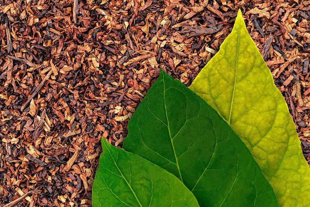 Pall Mall Cigarettes - History and Classification