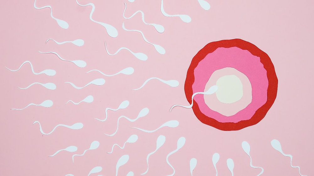 BIBLE MENSTRUATION SPILLING SEED & EJACULATION: DEFINITIVE GUIDE