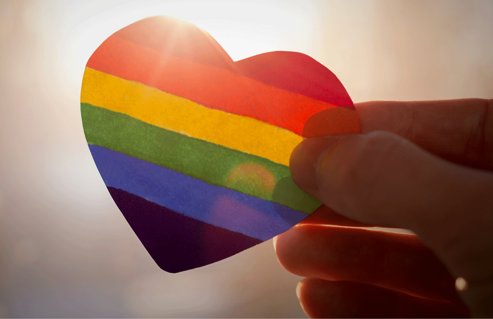 Navigating the Coming Out Process: A Resource for Parents, Relatives ...