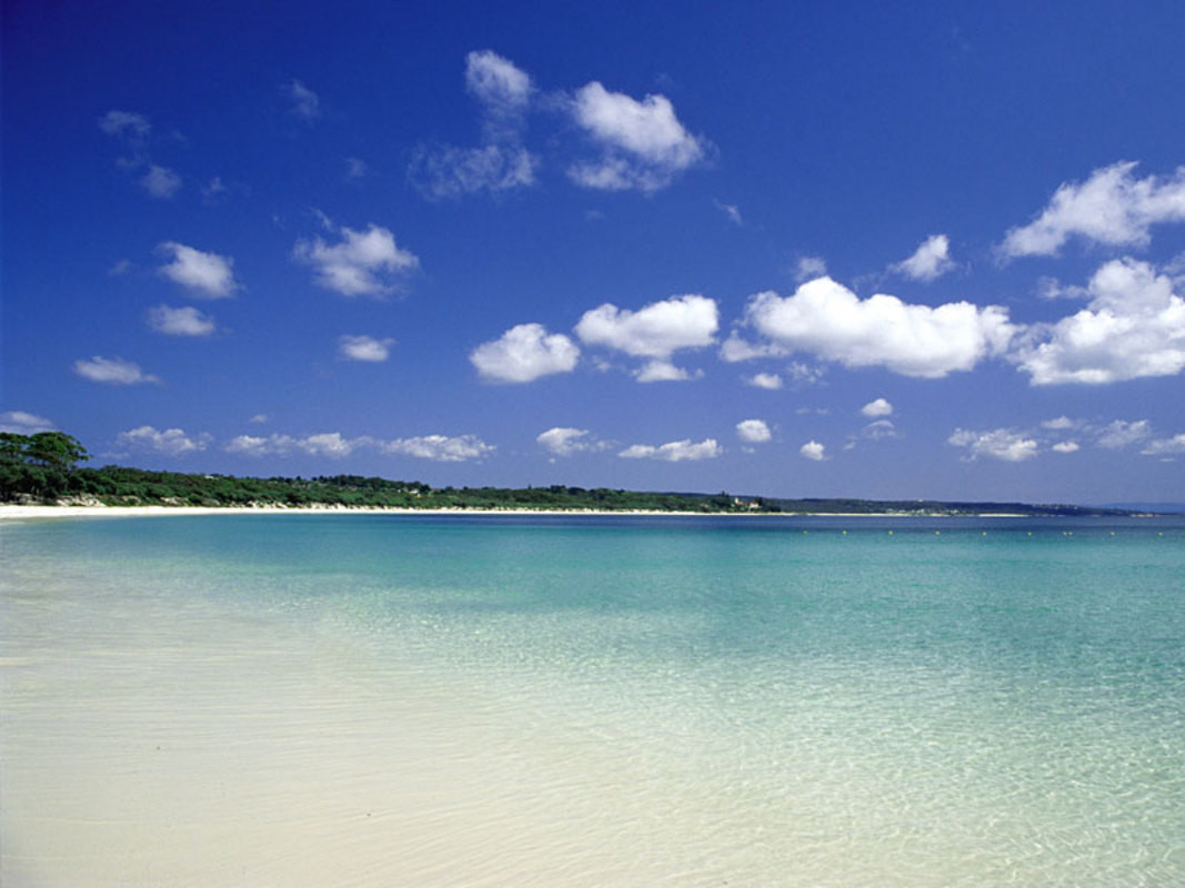 Callala Bay Community Associaton