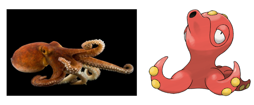 10 animais marinhos que inspiraram pokémons
