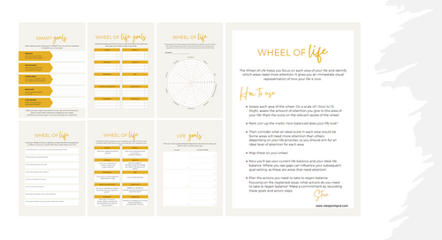 Get the Wheel of Life Workbook and Start Creating Balance in Your Life ...