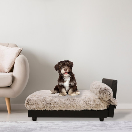 Elevated Dog Beds & Modern Pet Furniture | Club Nine Pets