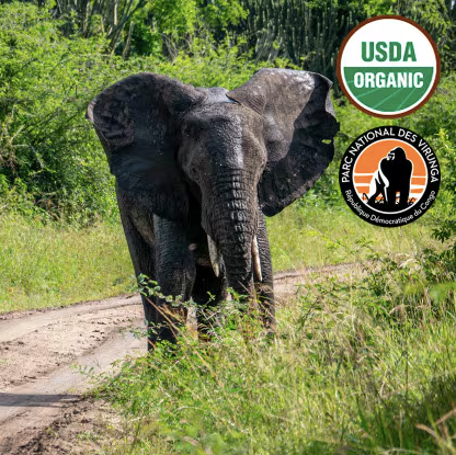 Congo Organic 12oz. | Espressopalette