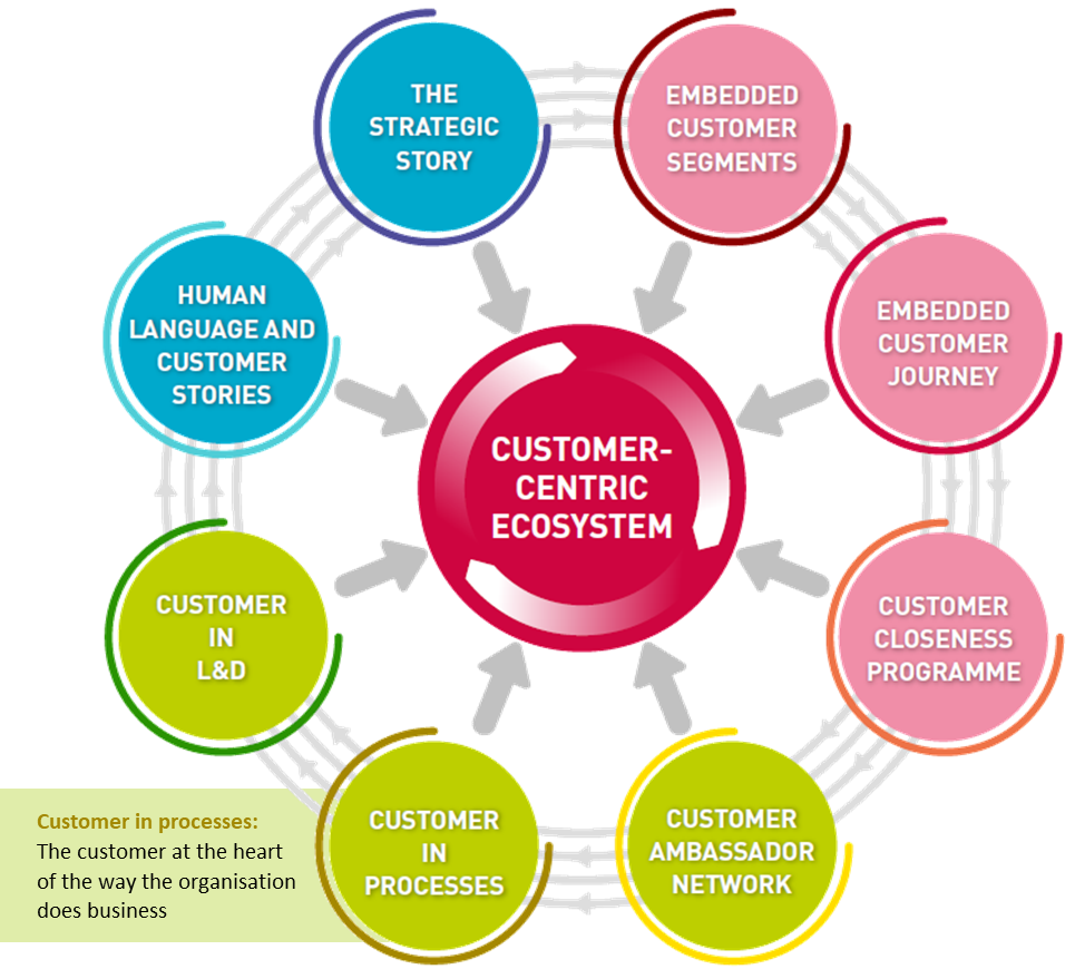 SPOTLIGHT ON CUSTOMER-CENTRICITY: CUSTOMER IN THE PROCESS